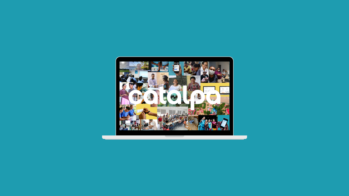 Mid-year Review | Catalpa International